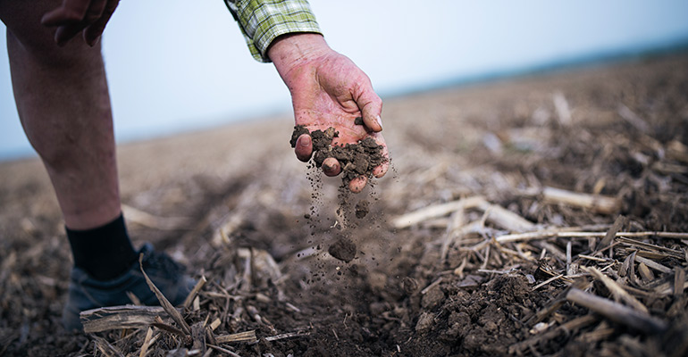 How to improve soil health (and why it matters)
