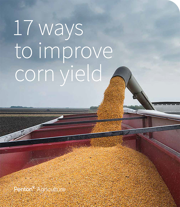 17 ways to improve corn yield