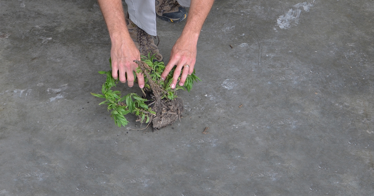 7 steps to cleaner fields next season