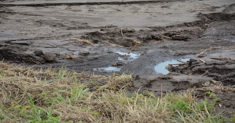 This experiment jump started bad soil with good