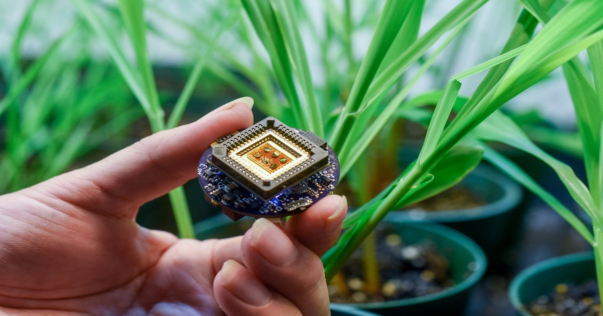 Using sensors to diagnose crop problems