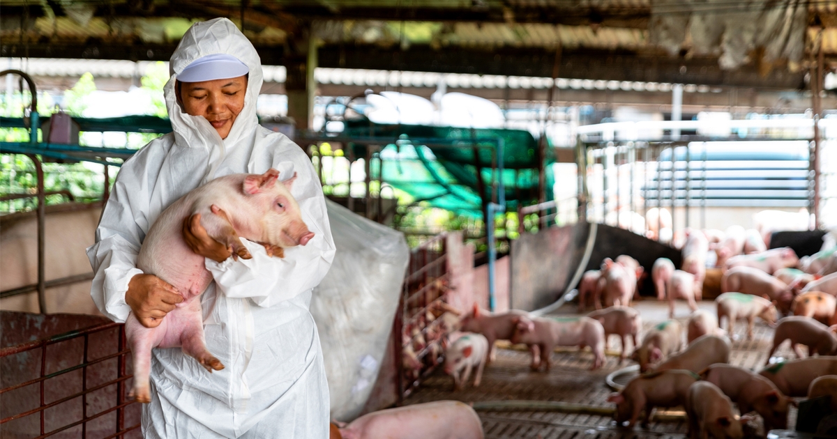 Protect your farm from a serious disease outbreak