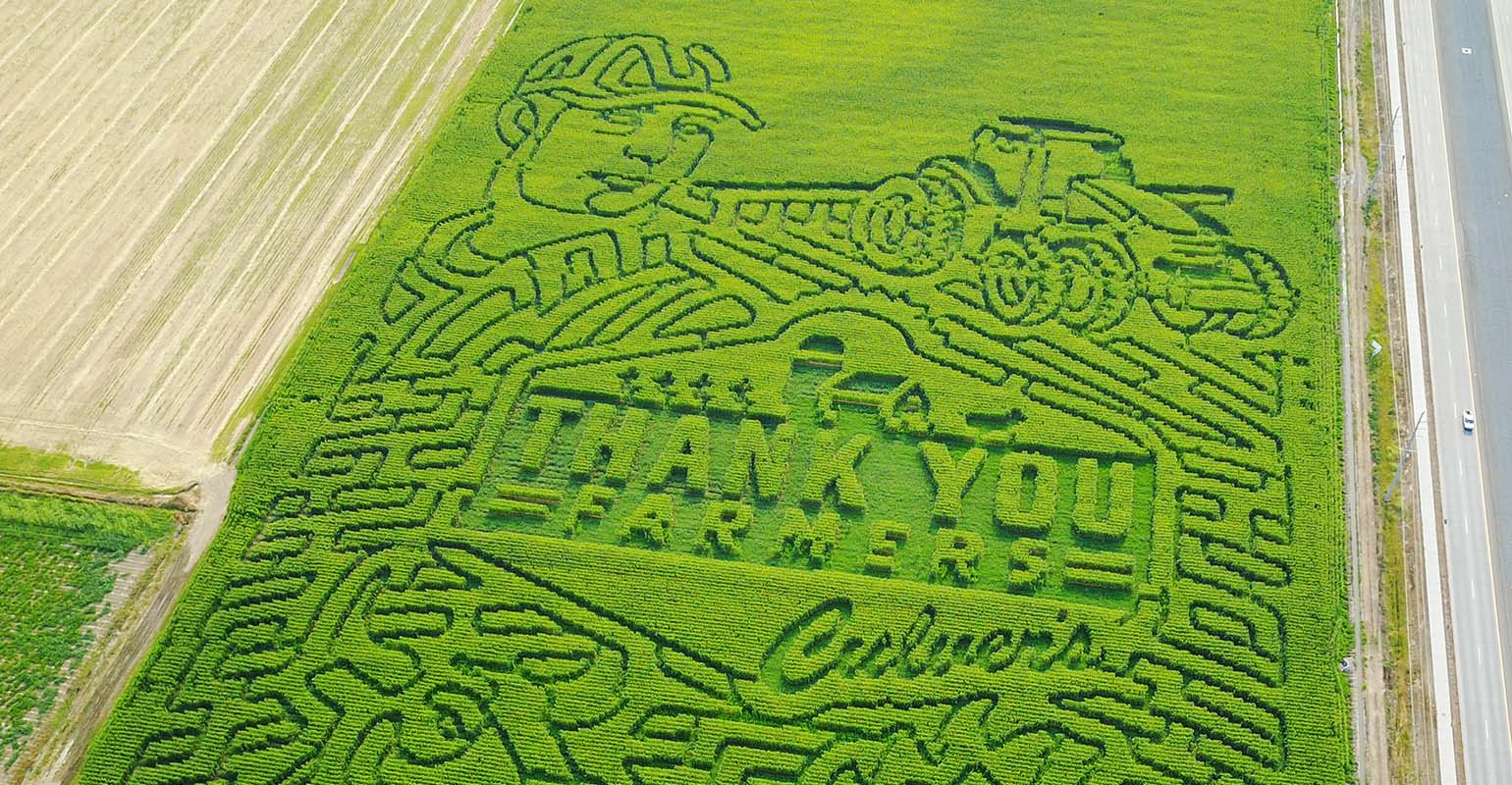 Find a 'Thank You Farmers' corn maze near you