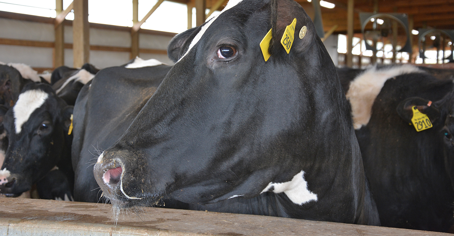MDA recognizes high-quality milk producers