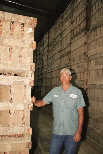 Sweet potatoes ‘a good, solid business’ for Jamie and Ricky Earp