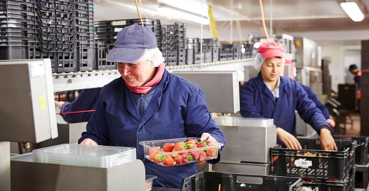 FDA announces Food Traceability Final Rule