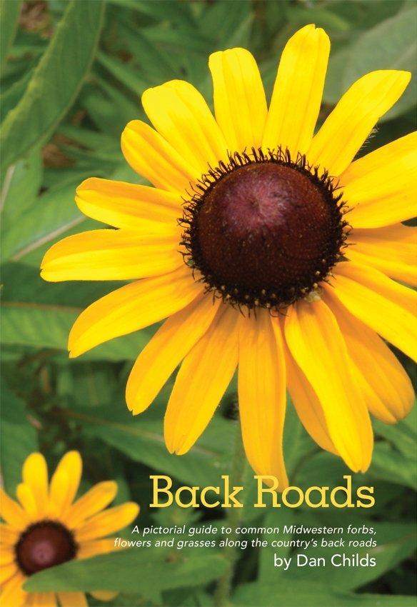 Indiana native captures variety of roadside plants in new book