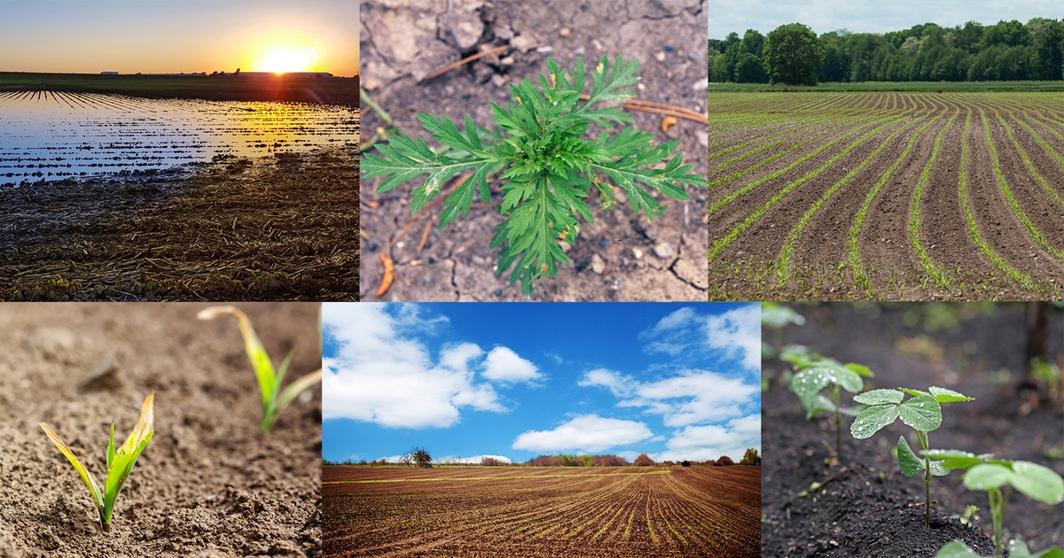 May 2020 Midwest crop progress | Farm Progress