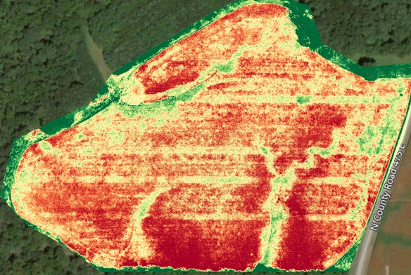 Technology provides low-cost look at crop health