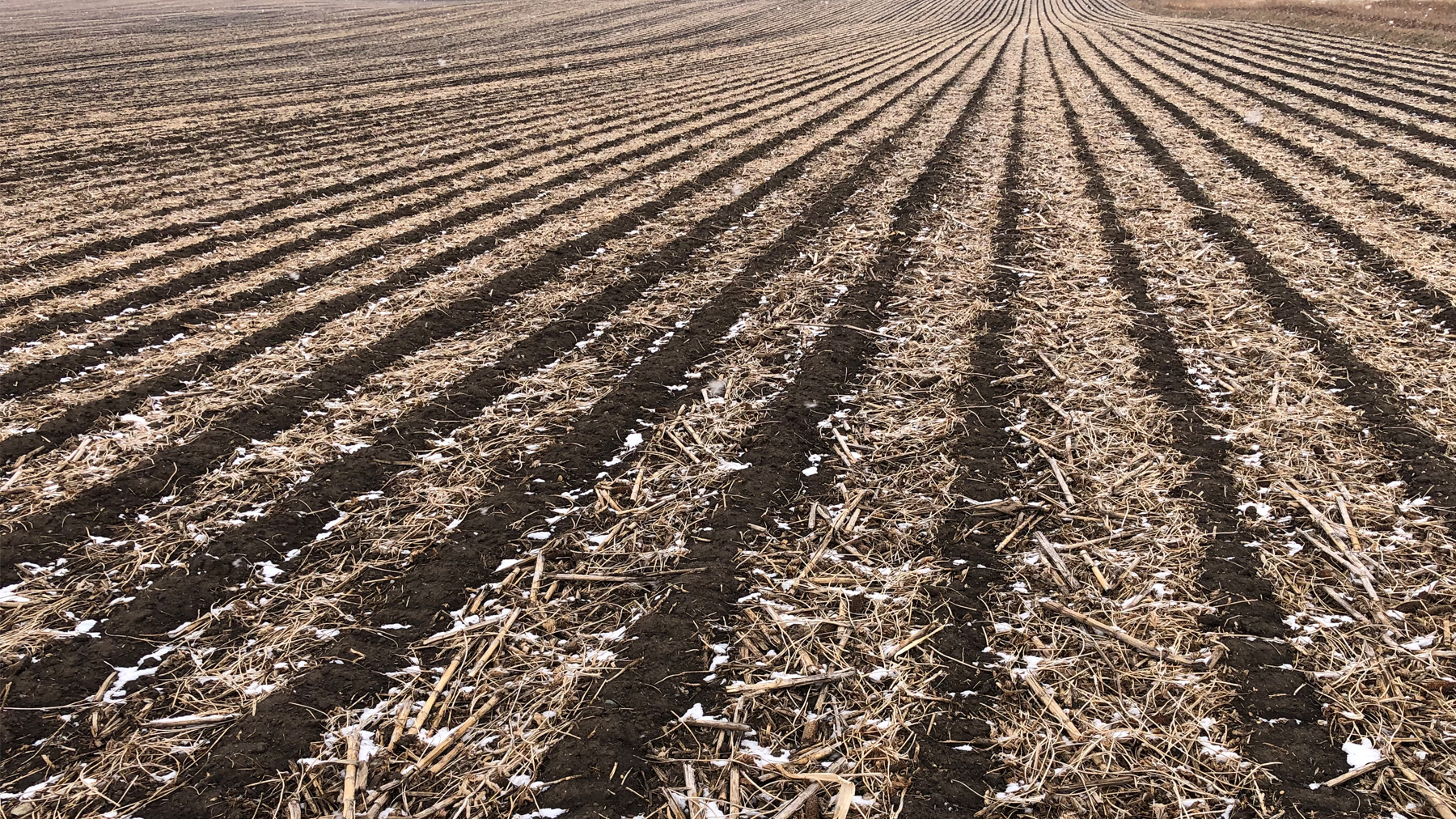 Start thinking about 2025 tillage plans now