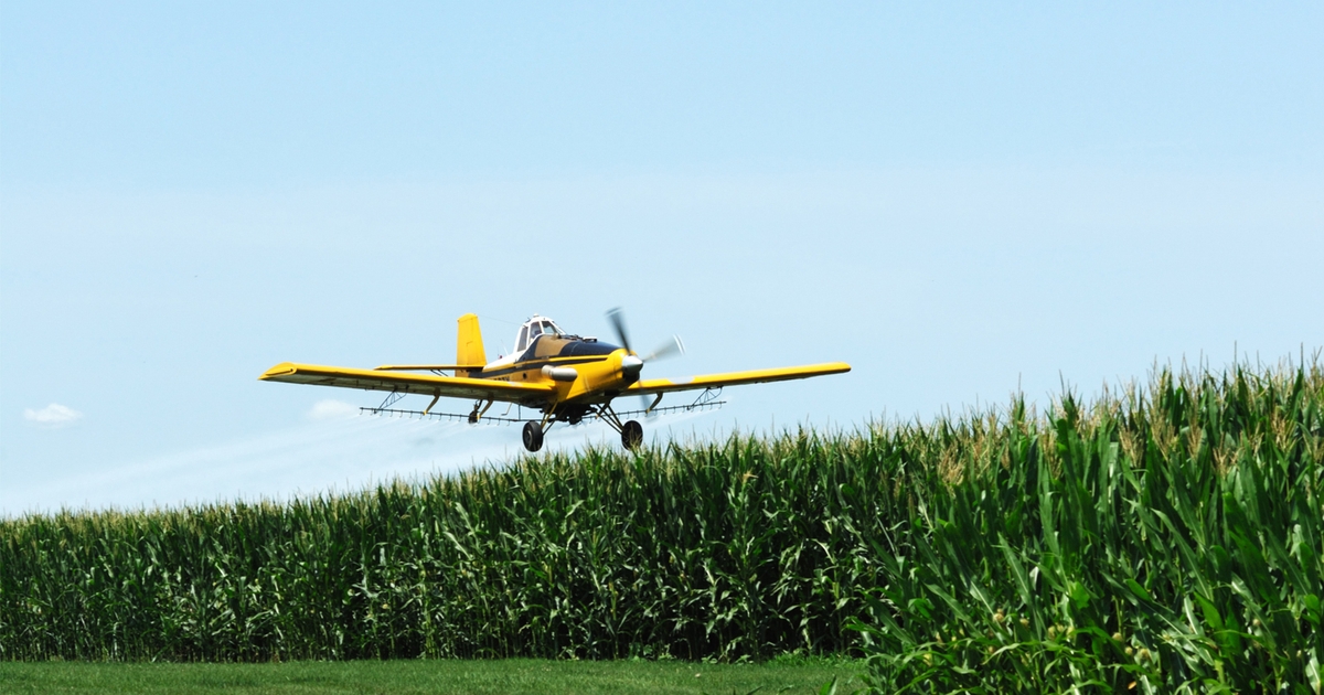 Fungicide applications: Considerations for when to apply