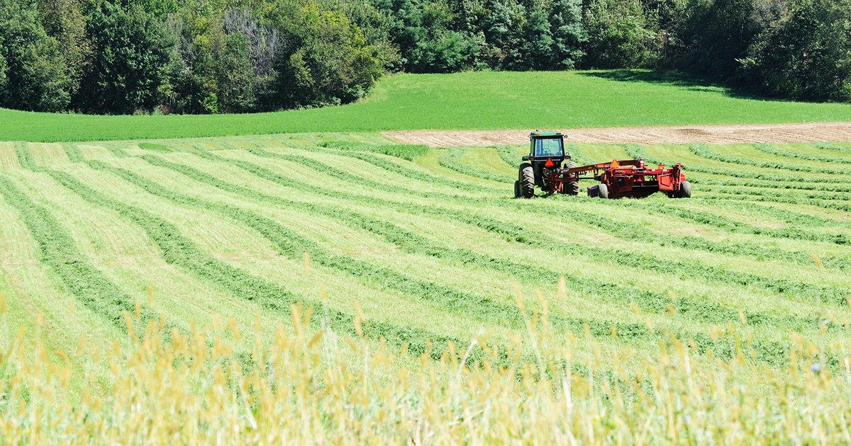 8 tips to growing and selling alfalfa