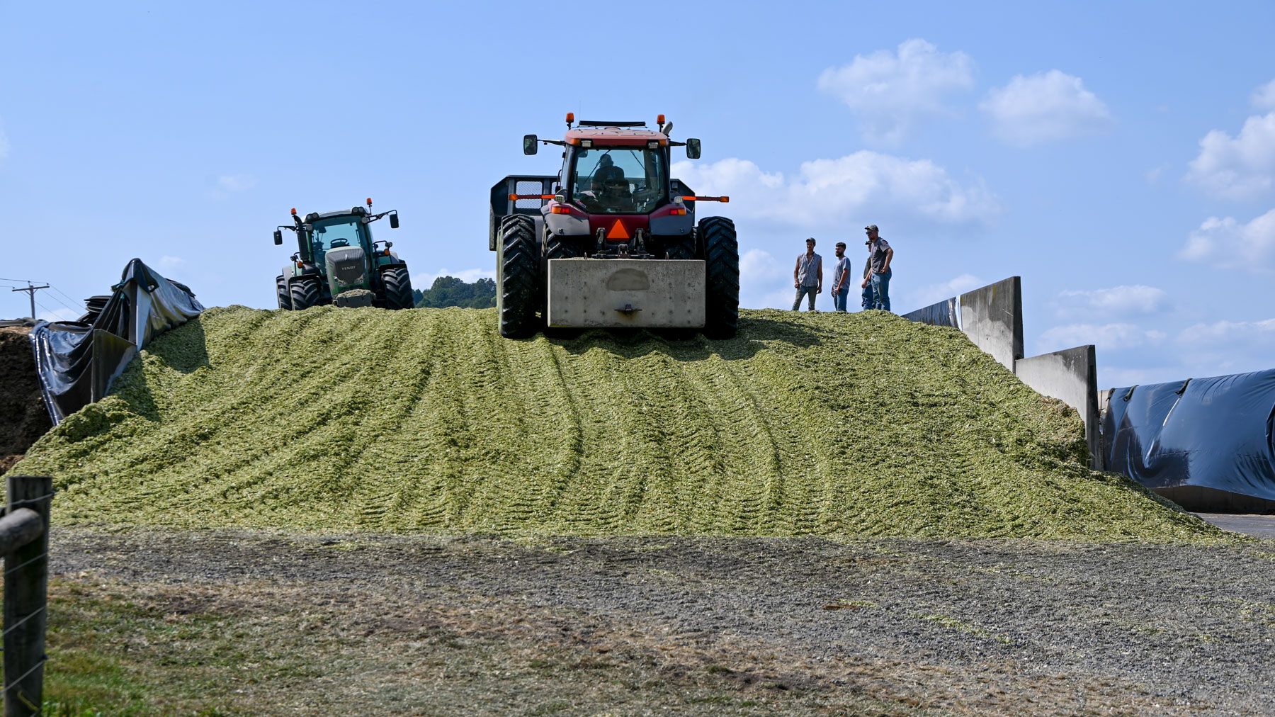 Brazil corn update: Safrina planting behind schedule