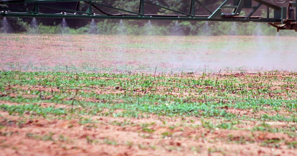 Monsanto dicamba petition a bare-knuckle approach