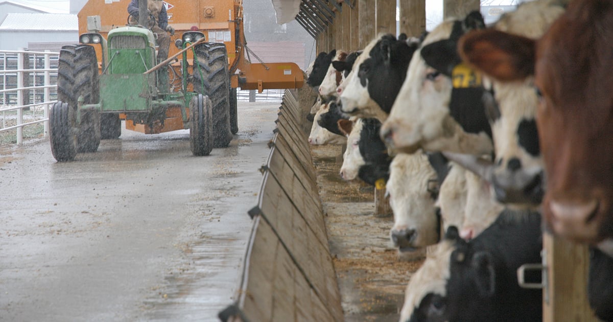 7 tips for getting livestock permits, financing