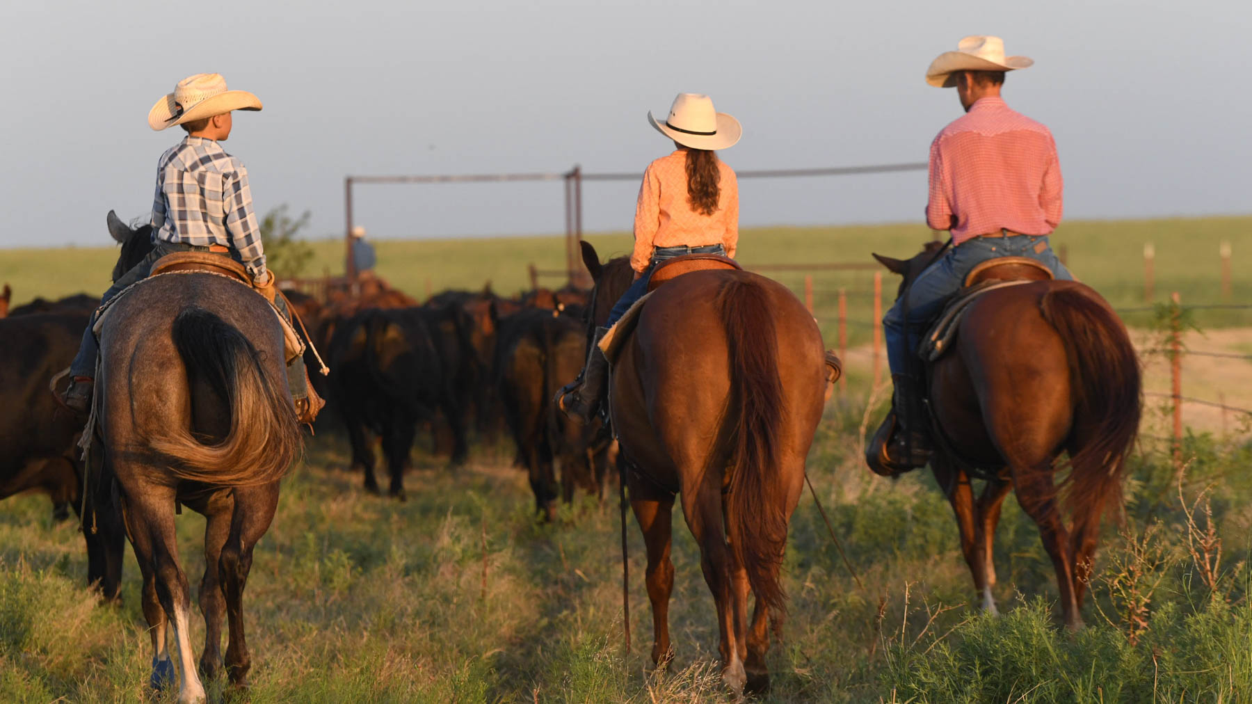 Texas twins blaze ranch, rodeo trail