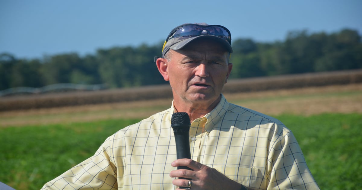 Entomologist ponders why NC peanut farmers don’t use popular insectici