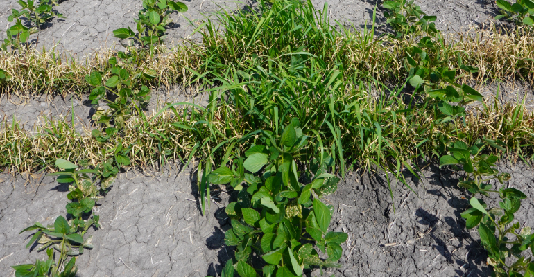 Study reveals challenges in spraying accuracy