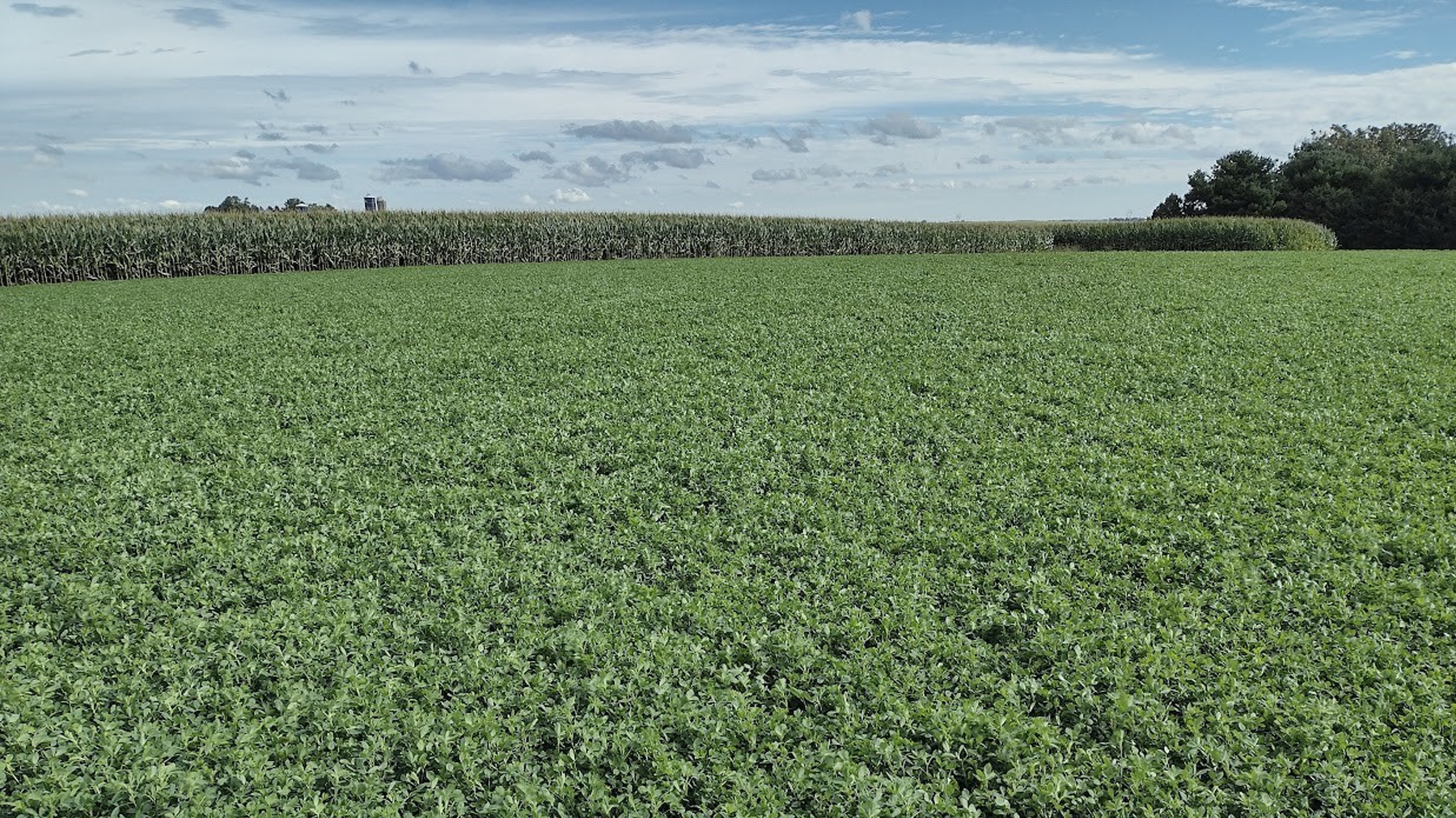 What’s a fair rent price for farmland?