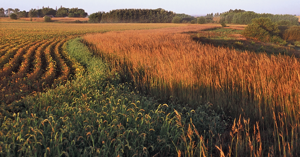 Addressing 3 key areas to reduce water quality impact