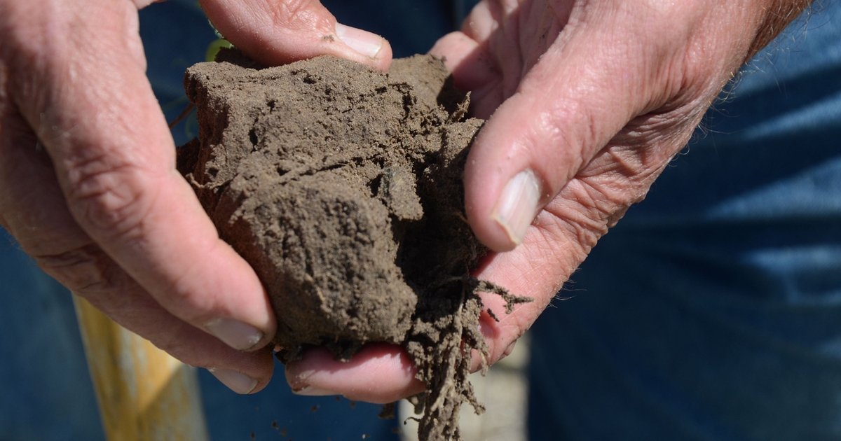 How long does it take to build organic matter?