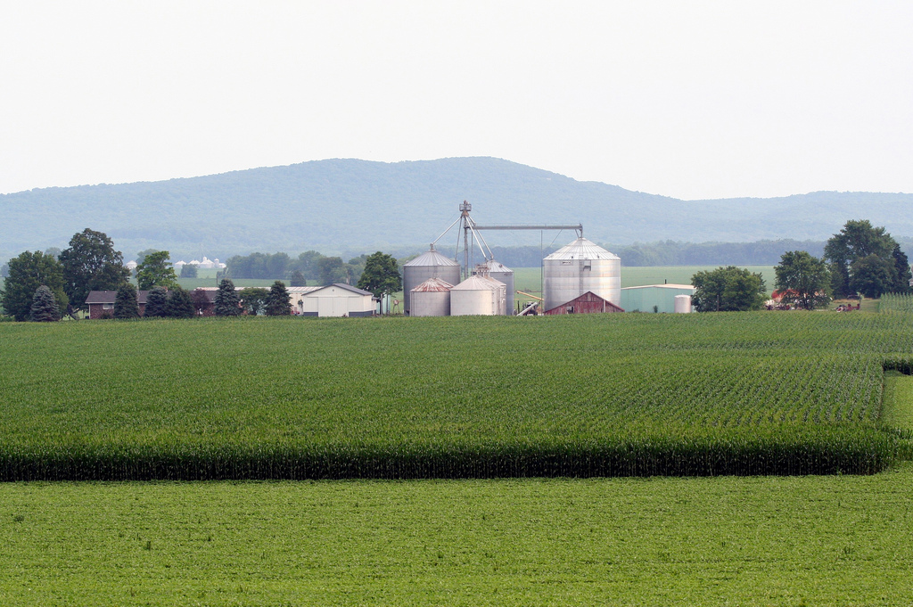 A closer look at Virginia’s grain production and storage capacity
