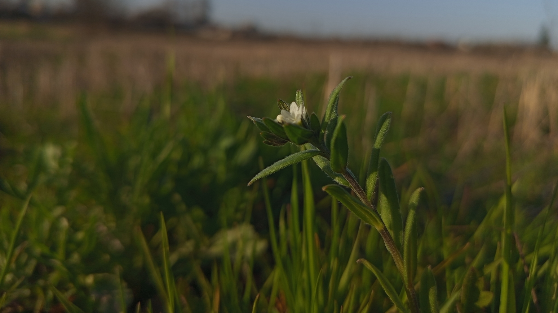 BW Fusion relaunches as crop nutrition company