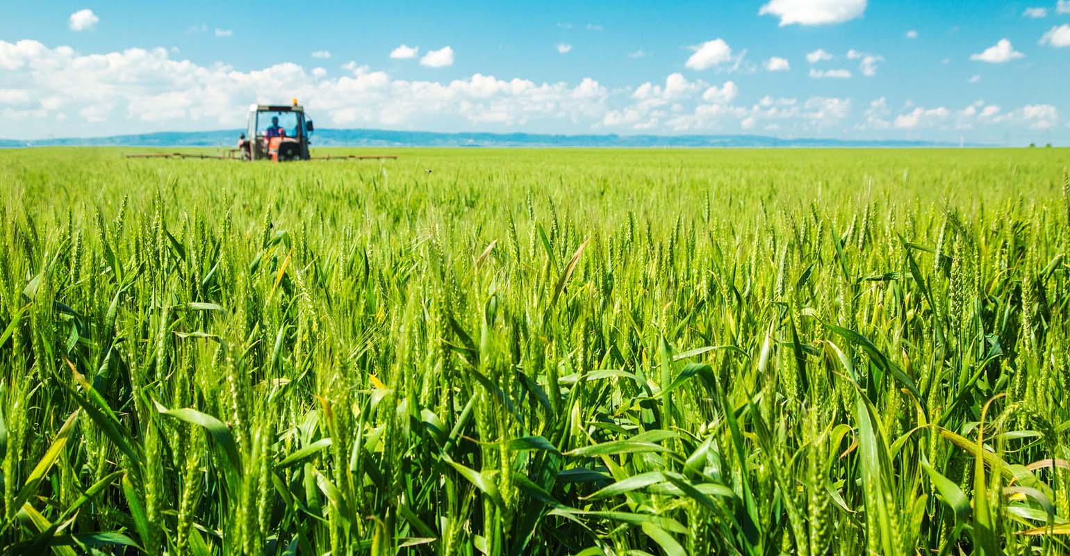 Corteva Agriscience launches fungicide Adavelt