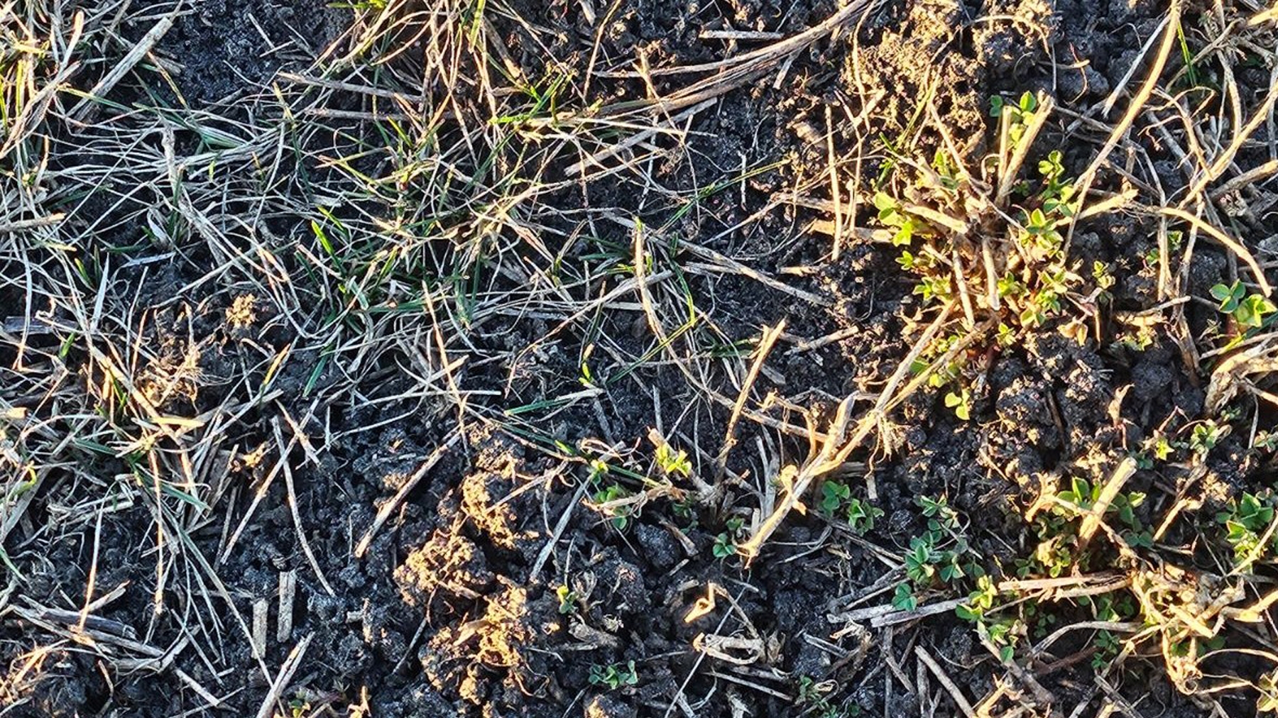 7 facts you didn’t know about soil temperature