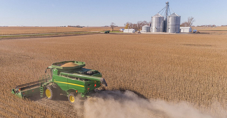 Three considerations for soybean seed selection