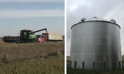 Grain Storage: Do’s and Don’t’s