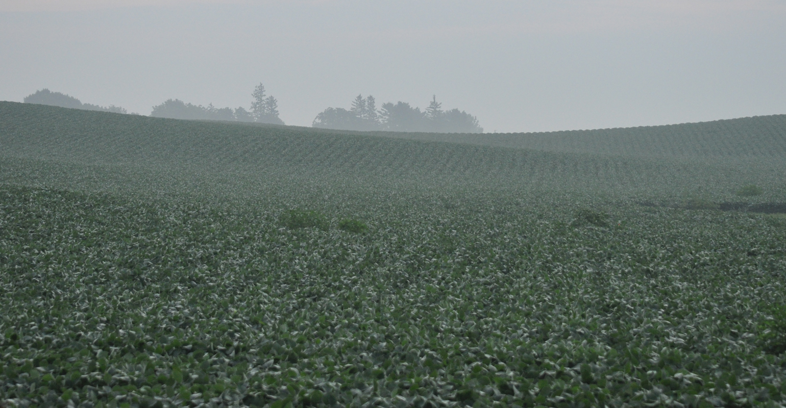 Spot temperature inversions like a pro