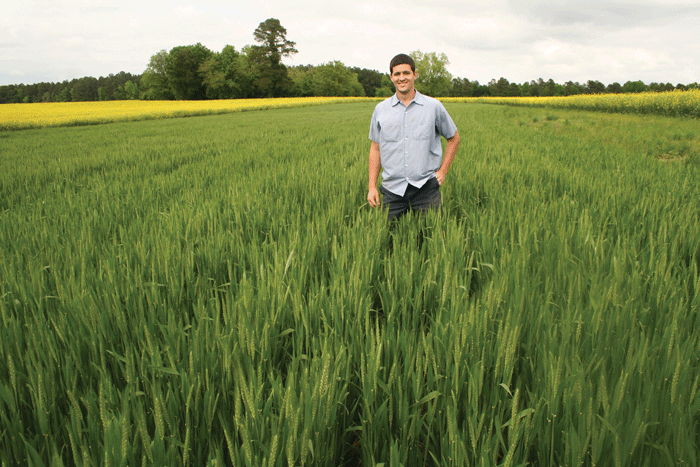 Canola a good fit for South Carolina farming operation