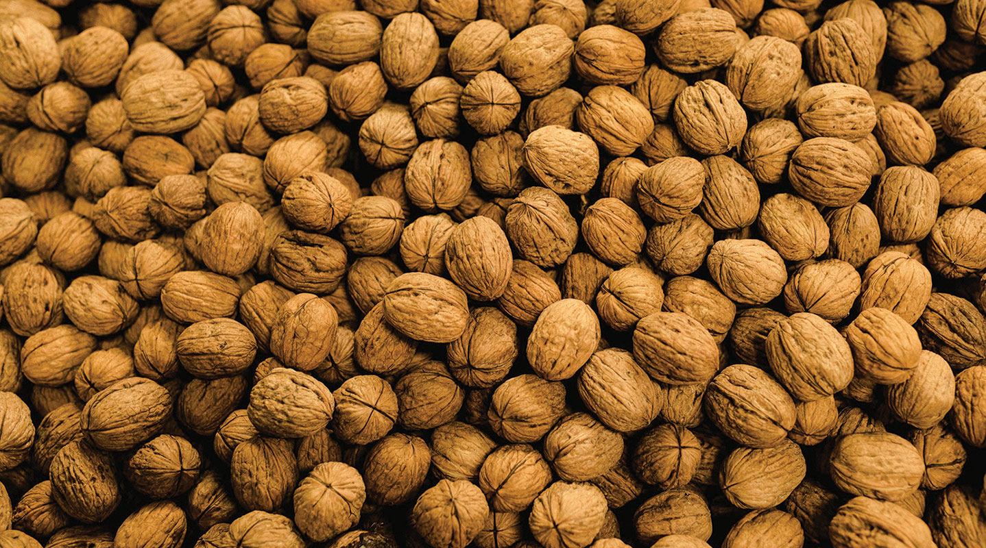 Climate change brings need for new walnut, nut breeder says