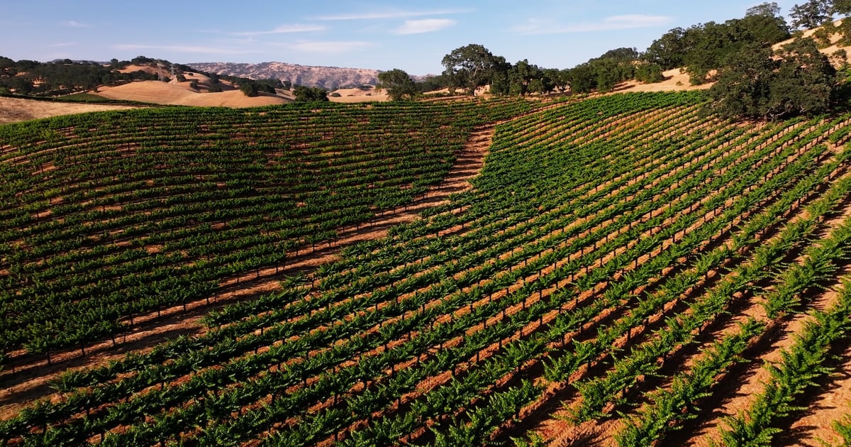 USDA rolls out $1.6B in specialty crop assistance payments