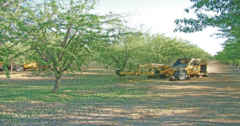 Almond Environmental Tour shows sustainability in action | Farm Progress