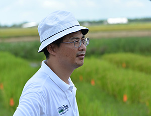 Eagle Lake Rice Field Day moves indoors June 29
