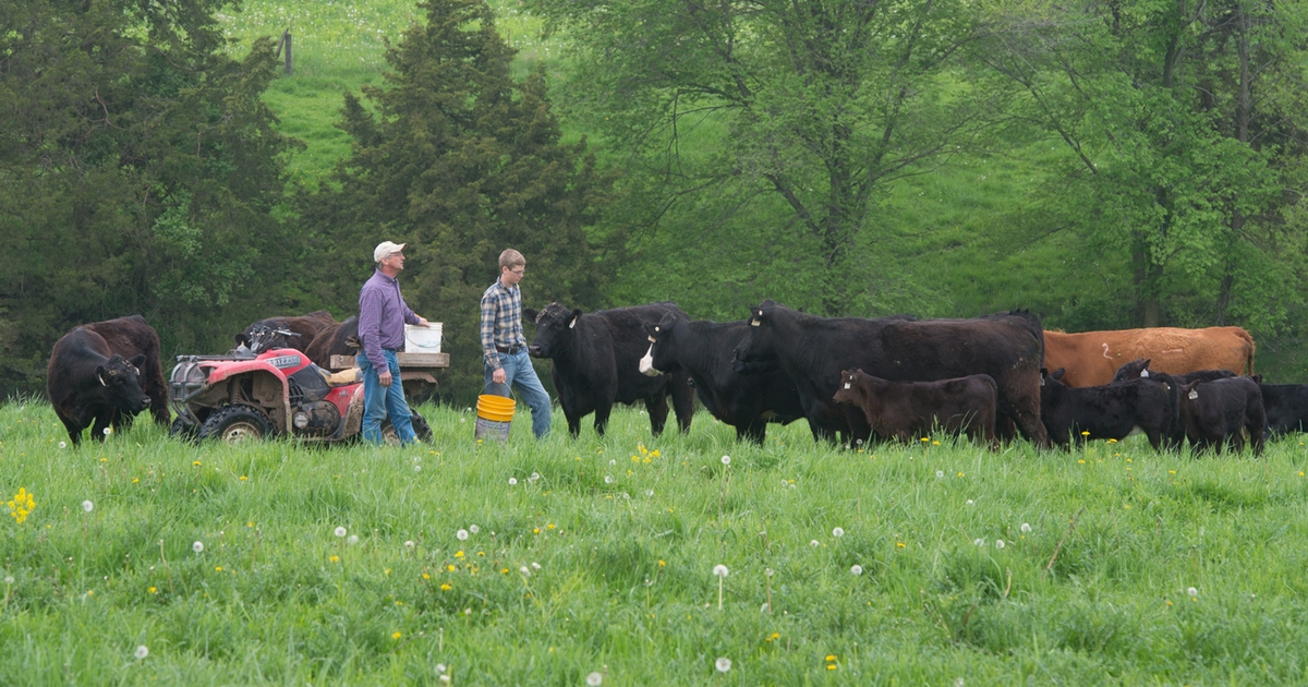 Enter ‘Farming Is a Family Affair’ photo contest
