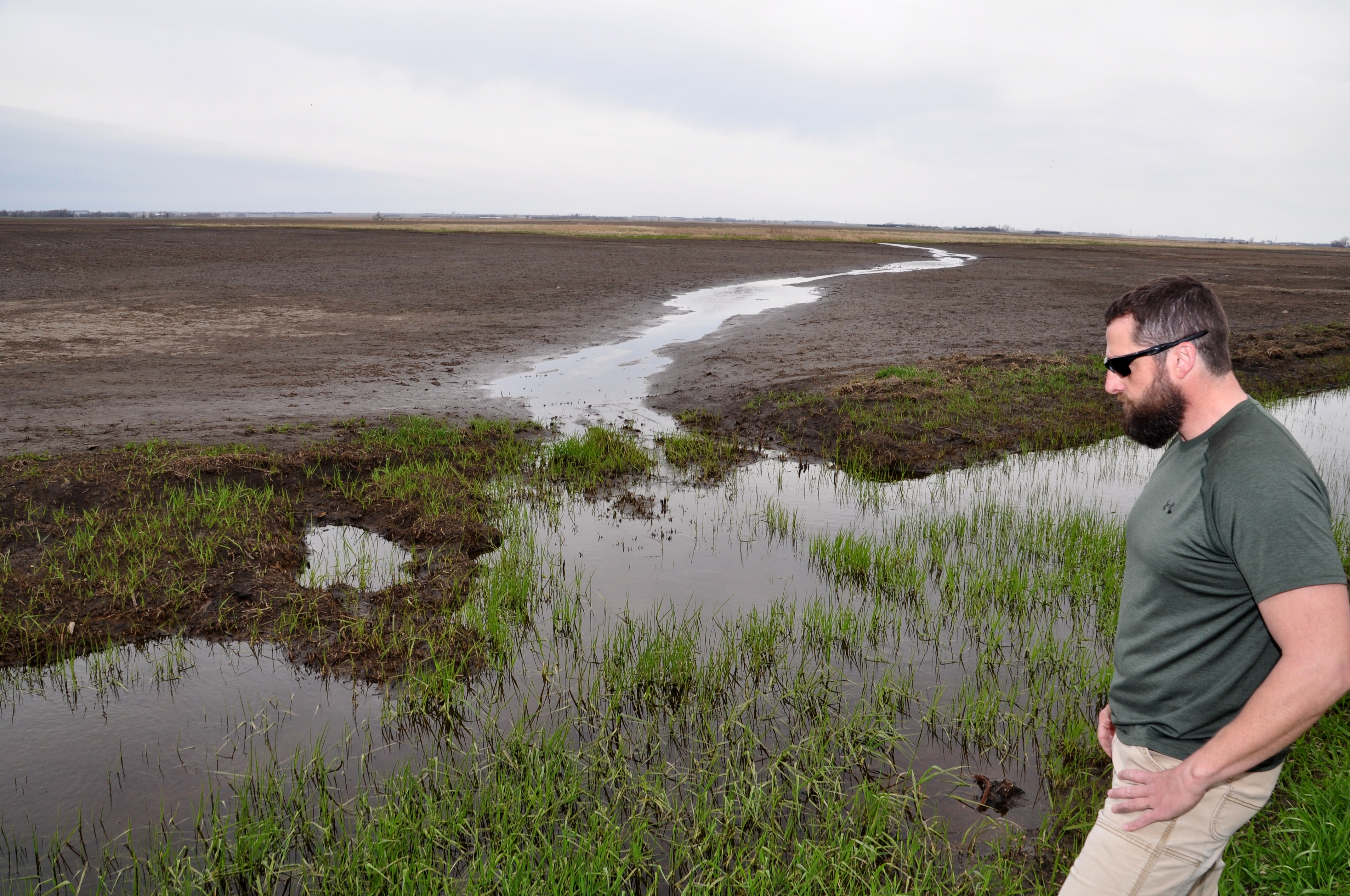 Be aware of wetlands determination