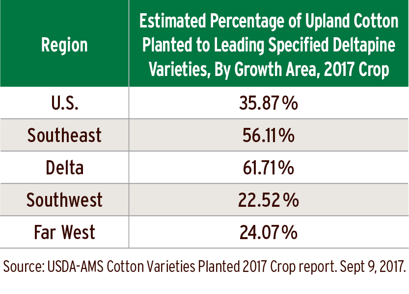 USDA Reports Deltapine® Cotton Strong Leader in Cotton Varieties