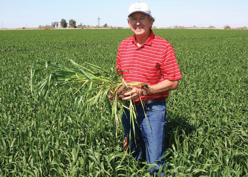 California’s Roy Motter a strong advocate for US wheat | Farm Progress