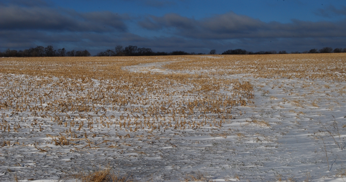 Iowa corn planting progress frozen