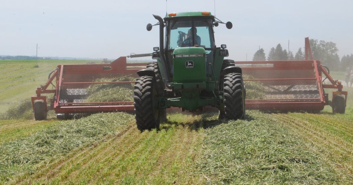 Tips for seeding forages in late summer