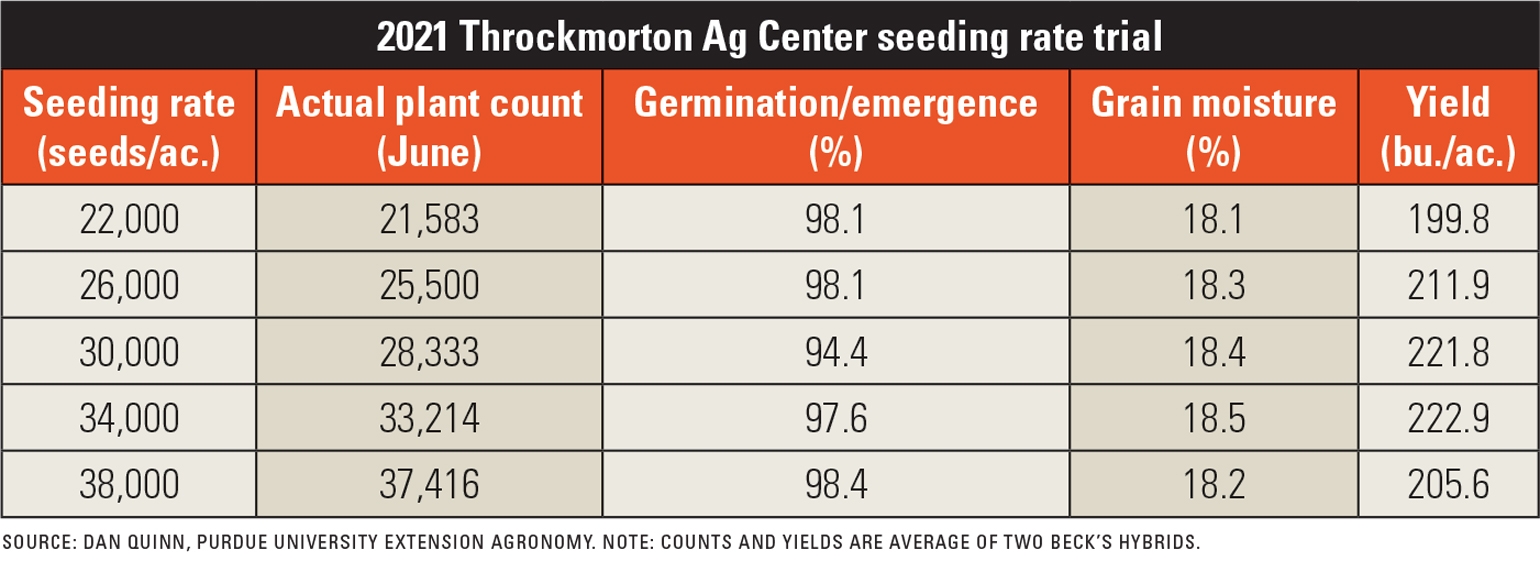 Which corn seeding rate should you choose?