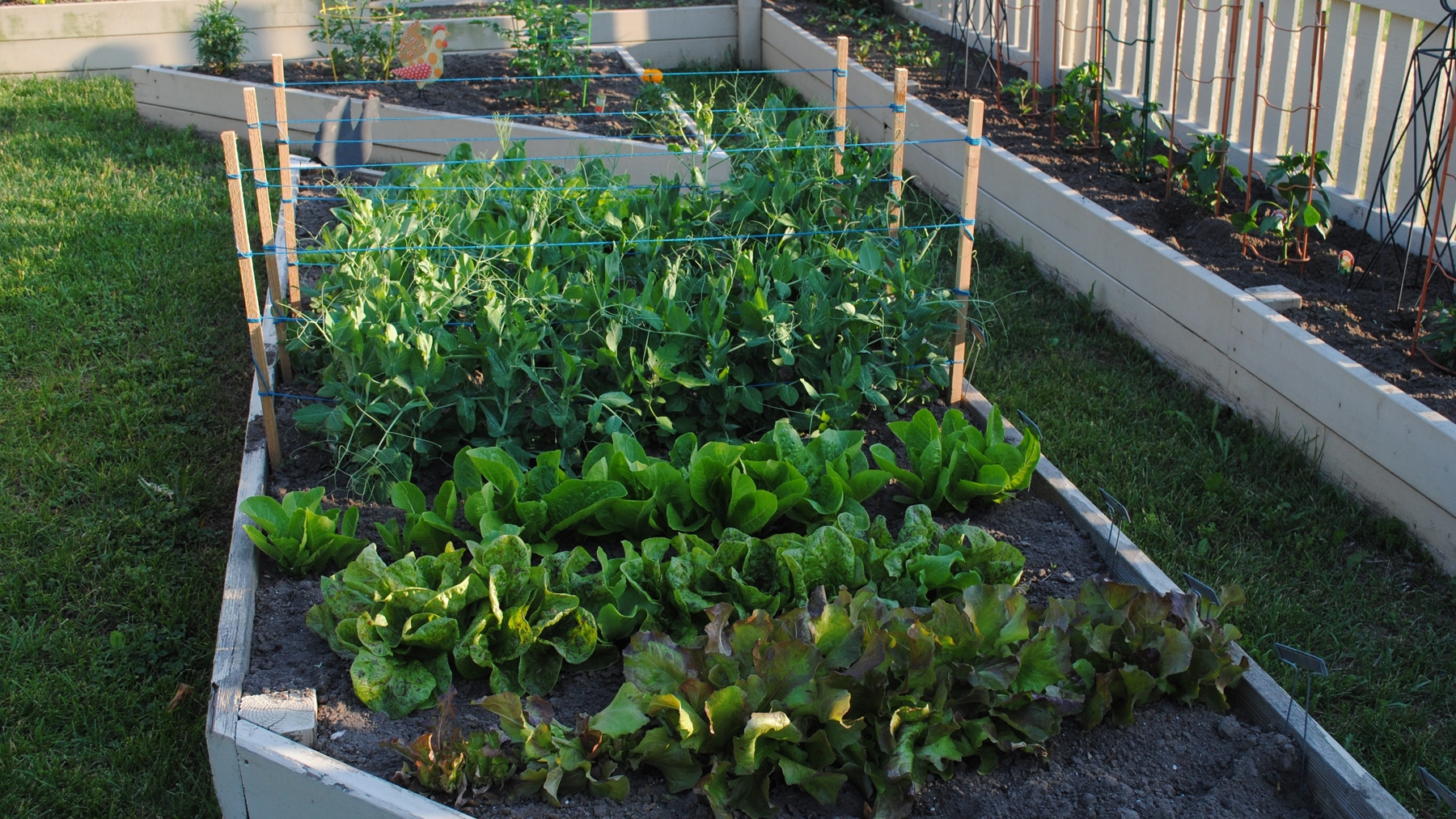 5 myths about farm field tiling