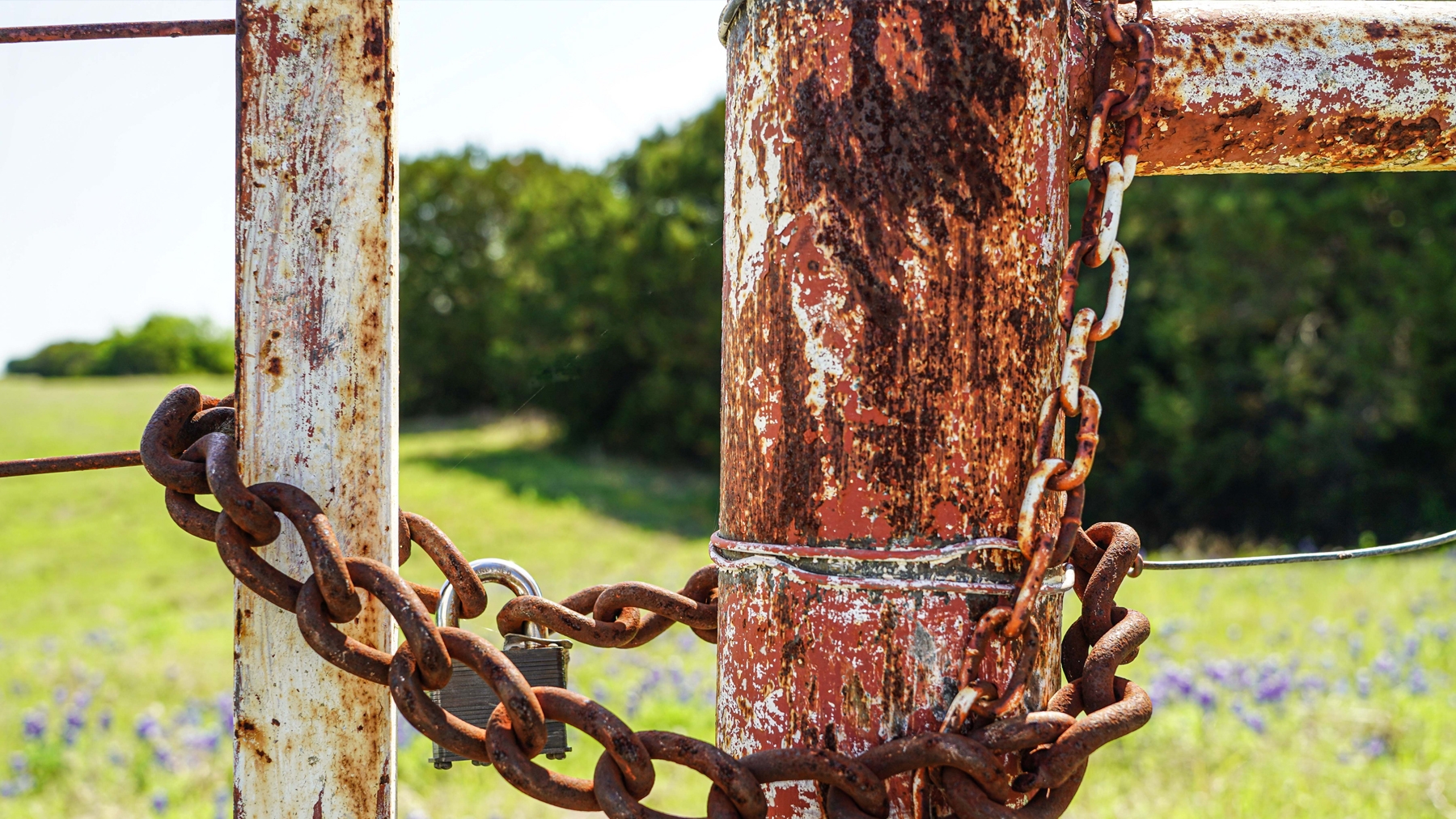 Legislators aim to put hammer down on farm thieves