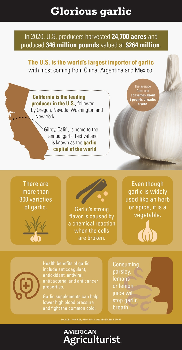 Make small acreage pay: Grow garlic | Farm Progress