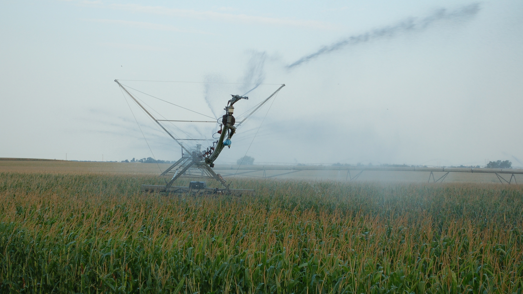 How many irrigated acres are in Nebraska?