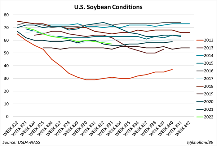 Surprise corn ratings drop hints at lower yields