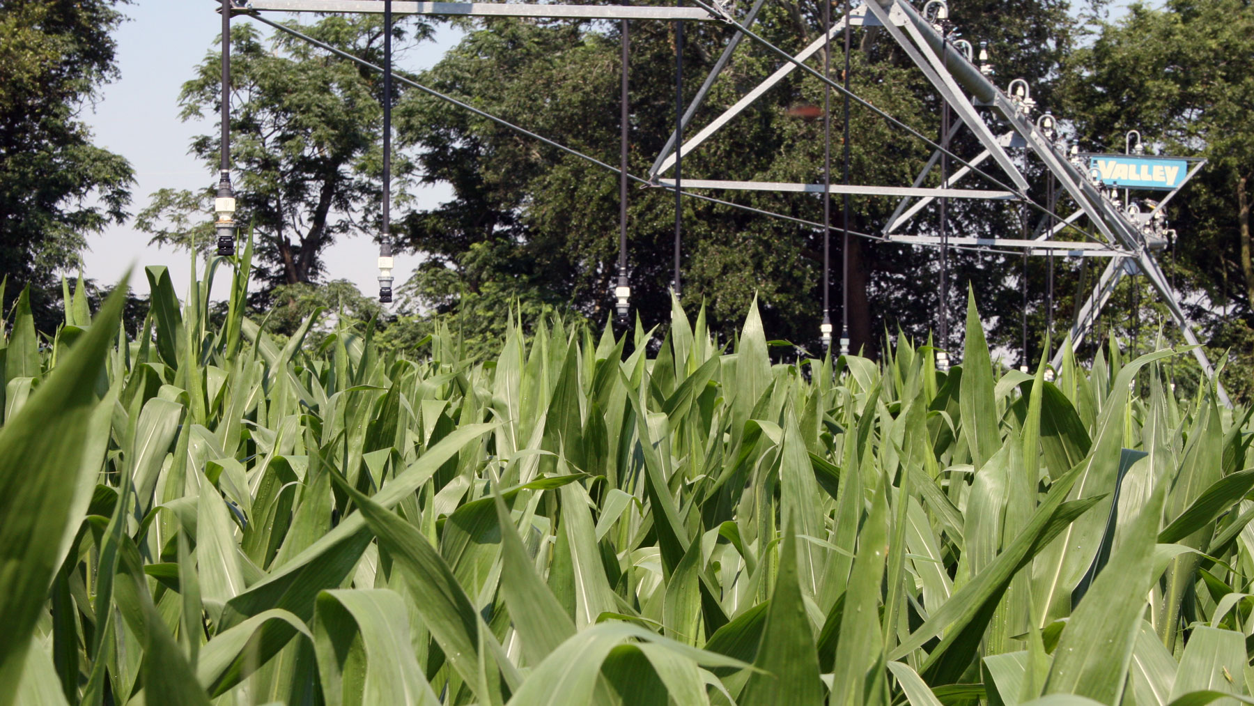 Farm Futures - Agriculture marketing and business information